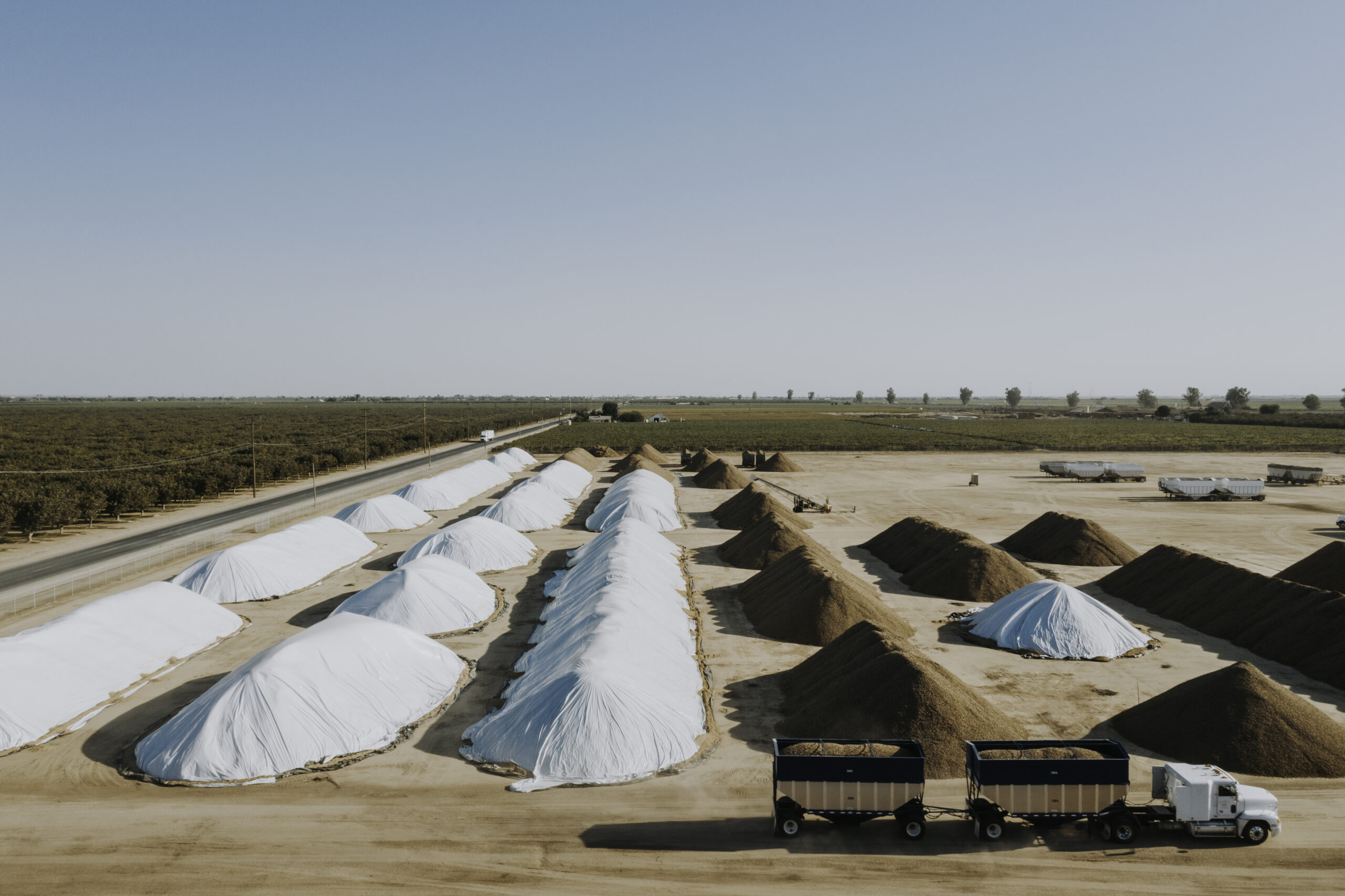 October 2020 Almond Market Update - Treehouse California Almonds