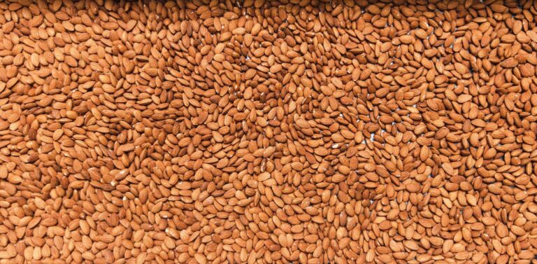 Superior-Quality Almond Products and Ingredients - Treehouse California ...