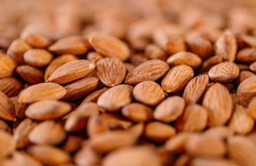 Organic Almonds Wholesale - Treehouse