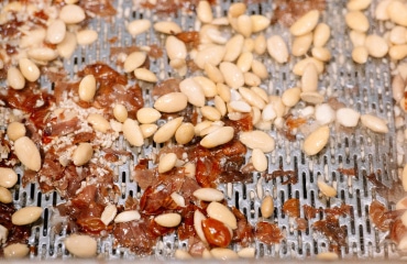 Organic Almonds Wholesale - Treehouse