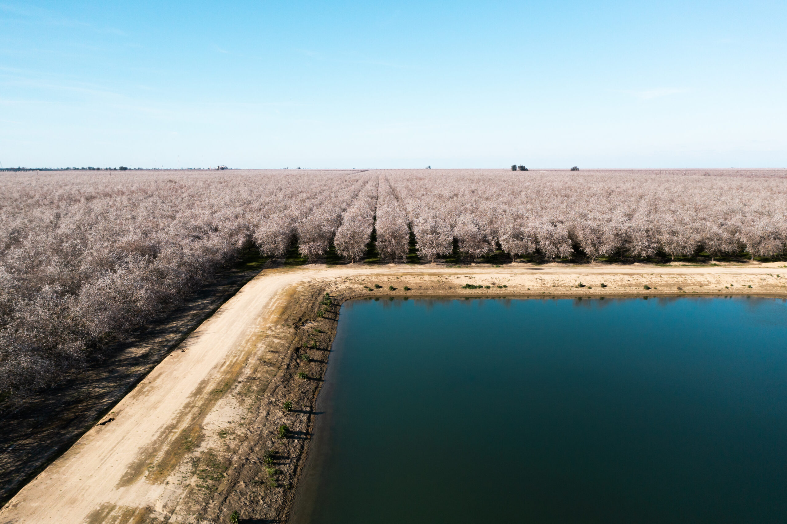 Water Replenishment Project with Coca-Cola - Treehouse California Almonds