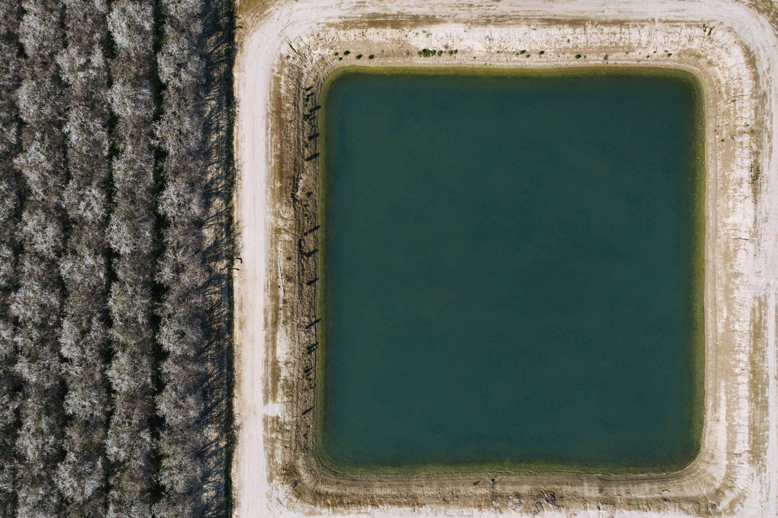 Recharge Basins Aim to Conserve Vital Water Resources - Treehouse ...